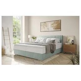 Boxbett Inosign "Thor mit Bettkasten, inkl. Matratze, Topseller", blau (stripes 8624 blau grau), B:186cm L:208cm, Komplettbetten, Boxspringbett, Topper und Zierkissen, in verschiedenen Härtegraden verfügbar