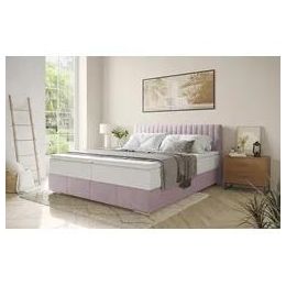 Boxbett Inosign "Thor mit Bettkasten, inkl. Matratze, Topseller", rosa (stripes 8626 flamingo), B:186cm L:208cm, Komplettbetten, Boxspringbett, Topper und Zierkissen, in verschiedenen Härtegraden verfügbar