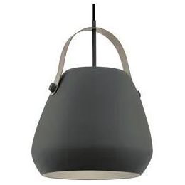 Eglo Pendelleuchte "BEDNALL", grau (grau, schwarz), 1, Ø 29cm H: 110cm, 1 Stk., Leuchten, Hängeleuchte, dimmbar, Smart Home, Farbwechsel