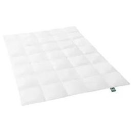 G&auml;nsedaunenbettdecke FAN "f.a.n. Alaska", wei&szlig;, B:135cm L:200cm, Bezug: 100% Baumwolle. F&uuml;llung: 90% G&auml;nsedaunen, 10% G&auml;nsefeder, Bettdecken