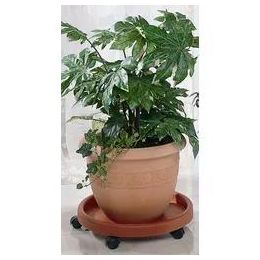 Blumentopfuntersetzer Ruco, orange (terrakotta), H:9cm Ø:34cm, Kunststoff, Untersetzer, Kunststoff, Ø 34 cm