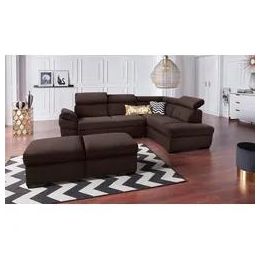 Ecksofa exxpo - SOFA FASHION "Salerno, klassisch modernes Funktionssofa, hoher Sitzkomfort, L-Form", braun, B:268cm H:77cm T:204cm, Sofas, inkl. Kopf- und Armteilverstellung, wahlweise mit Bettfunktion