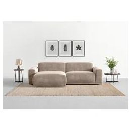 Ecksofa Trendmanufaktur "Braga, mit hochwertigem Kaltschaum, L-Form, in Cord erhältlich", beige, B:255cm H:72cm T:160cm, 88% Polyester, 12% Polyacryl, Sofas, modernes Sofa, Couch mit hohem Sitzkomfort, 255/72/160 cm (B/H/T)