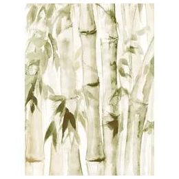 Bild Komar "Wild Bamboo", gr&uuml;n (farbe bild(er): gr&uuml;n, wei&szlig;), B:30cm H:40cm, Holz, Papier, Bilder, Bild, Wandbild zur Dekoration - ohne Rahmen