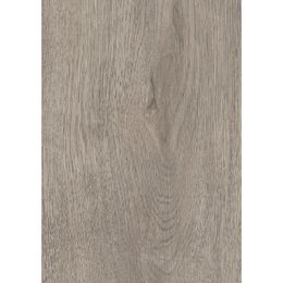 Laminat 'Flint Monticello Oak' eichefarben 7 mm