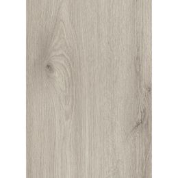 Laminat 'Cantal Oak' eichefarben 6 mm