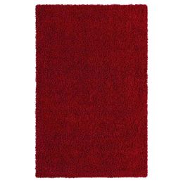 Pharao24.de Hochflor Shaggy Teppich in Rot viele Gr&ouml;&szlig;en - auch L&auml;ufer