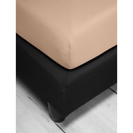 Spannbettlaken Irisette "Jupiter 8", rot (apricot), 1 Stk., Mako-Jersey, 100x190 100x200 90x190 90x200 25, Mako-Jersey, Obermaterial: 100% Baumwolle, Bettlaken, aus Baumwolle, für Matratzen bis 25 cm Höhe, Bettlaken, Spannbetttuch