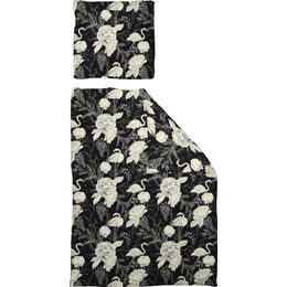 Bettwäsche Adam "Eden", schwarz (schwarz, weiß), B/L: 155cm x 220cm, 1 Stk., 1 Stk., Renforcé, B/L: 80cm x 80cm, 2 Stk., Renforcé, Obermaterial: 100% Baumwolle, Bettwäsche, aus 100 % Bio-Baumwolle, 2 teilig - Bettwäsche Set