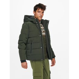 Only & Sons Steppjacke ONLY & SONS "ONSCAYSON PUFFA OTW NOOS", Herren, Gr. L, peat, Web, Obermaterial: 100% Polyester, unifarben, regular fit normal, Rippbündchen, Jacken