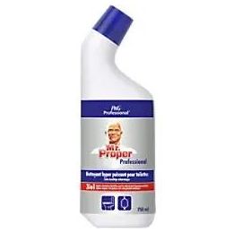 Meister Proper Mr. Proper PROFESSIONAL WC-Reinigungsspray 750 ml