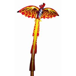 Günther Günther Drache "DRAGON 3D" - (L)102 x (B)320 cm - 11% | Outdoorspielzeug