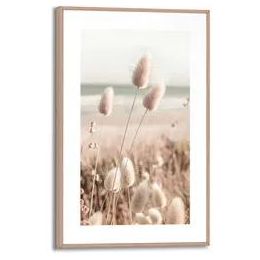Poster Reinders "Ziergras", beige (farbe bild(er): beige), B:20cm H:30cm T:1,6cm, MDF, Bilder, Poster