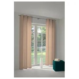 Vorhang ADAM "Uni Collection" Gr. 4, braun (hellbraun), B:145cm H:245cm, Jacquard, Baumwolle (Bio-Baumwolle), Gardinen, aus 100% Bio-Baumwolle