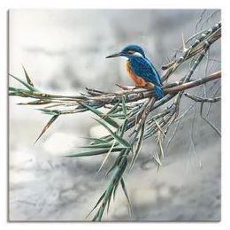 Wandbild Artland "Eisvogel I", weiß (farbe bild(er): weiß), B:50cm H:50cm T:1,8cm, Canvas, Leinwand, Bilder, als Leinwandbild, Poster, Wandaufkleber in verschied. Größen