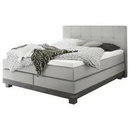 Boxspringbett Hasena "Boston", grau (grau, akazie grau), B:188cm L:210cm, Komplettbetten, Boxspringbett, Massivholz-Sockel, Punktsteppung im Kopfteil, Federkernmatratze