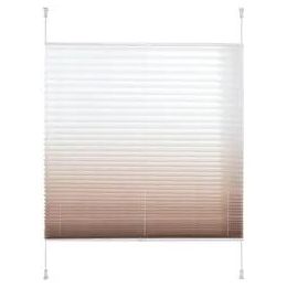 Plissee Liedeco "Farbverlauf" Gr. 5, braun (kaffee), B:90 H:130, Obermaterial: 100% Polyester, Plissees