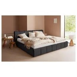 Polsterbett "Maileen", schwarz, B:211cm L:225cm, 88% Polyester, 9% Rayon, 3% Nylon, LeGer Home by Lena Gercke, Betten, Polsterbett ohne Bettkasten Bettgestell Polsterbett, in 5 Breiten und 3 Farben, incl. Rollrost