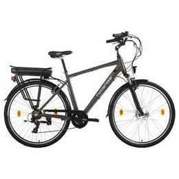 E-Bike HOLLANDIA "Zagon" Gr. 53, grau (anthrazit, schwarz), Elektrofahrräder, 53cm, 28 Zoll (71,12cm), Pedelec, Elektrofahrrad für Damen u. Herren