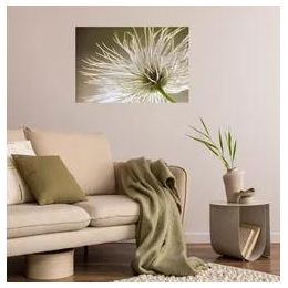 Wandsticker queence "Klara", beige, B:120cm H:80cm T:0,1cm, Folie, Wandtattoos, Selbstklebend, kinderleichte Anbringung