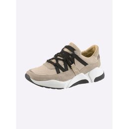 Heine Sneaker in taupe-schwarz | Gr.: 40