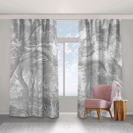 Bilderwelten Vorhang Wald Kupferstich - blickdichte Gardine Wald Bäume Botanik Tropical Illustration Natur Vintage Wohnzimmer Schlafzimmer Küche Bad Badezimmer