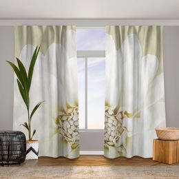 Vorhang Dahlie Weiß Pastell Sandfarben - blickdichte Gardine Blumen Floral Wohnzimmer Schlafzimmer Küche Bad Badezimmer Jugendzimmer Beige