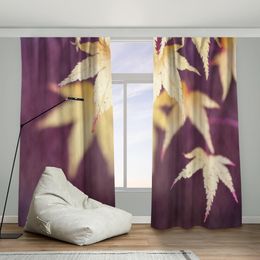 Vorhang Herbstlicher Ahorn - blickdichte Gardine Blumen Floral Wohnzimmer Schlafzimmer Küche Bad Badezimmer Violett