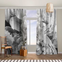 Vorhang Blühende Pfingstrosen Schwarz-Weiß - blickdichte Gardine Blumen Floral Landhausstil Schwarz-Weiß Wohnzimmer Schlafzimmer Küche Bad Badezimmer