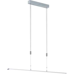 Fischer und Honsel FISCHER & HONSEL LED Pendelleuchte &raquo;Metz&laquo; LED-Modul Neutralwei&szlig; Warmwei&szlig; aluminiumfarben