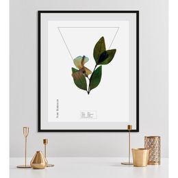 queence Bild »Vinca« Pflanzen Pflanzenbilder Schriftzug 1 Stk. tlg. HD Premium Poster-Druck inkl. Holzrahmen Farbe Rahmen: schwarz + Farbe...