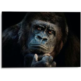 Platinum Alu-Dibond-Druck &raquo;Gorilla&laquo; 1 1 Stk. tlg. Joachim G. Pinkawa Farbe Bild(er): schwarz