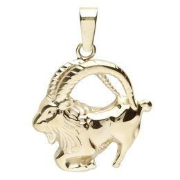 OSTSEE-SCHMUCK Kettenanhänger »Anhänger Tierkreiszeichen Steinbock« (1 Stk. tlg.) 26 x 18 mm Sehr schöner Anhänger aus Silber 925/000, vergoldet