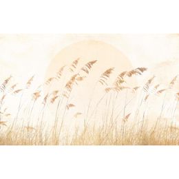 Komar Vliestapete &raquo;Digitaldruck Vlies - Dune Grass - Gr&ouml;&szlig;e 400 x 250 cm&laquo; bedruckt glatt Wohnzimmer, Schlafzimmer braun Vlies