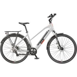 Telefunken Unisex &raquo;E-Trekking Expedition XT490 Damen&laquo; 8 Gang Shimano Altus Schaltwerk Kettenschaltung Heckmotor 250 W Pedelec, Elektrofahrrad, Damen, 