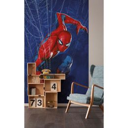 Komar Kindertapete &raquo;Marvel Spider-Man Spider Web&laquo; bedruckt glatt blau Vlies