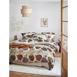 Irisette Bettw&auml;sche &raquo;Koala 8533&laquo; 2 Stk. tlg. flauschig kupfer Obermaterial: 100% Baumwolle B/L: 135 cm x 200 cm