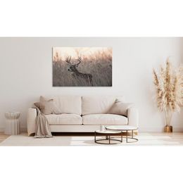 queence Acrylglasbild »Emino« Hirsch Hirschbilder Kunst Landschaft Spa Spa Bilder Tiere Wiesen & Baumbilder Wildtiere 1 Stk. tlg....