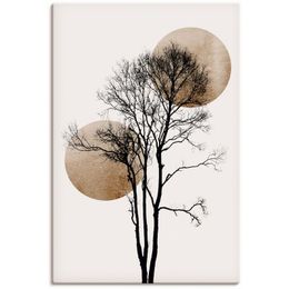 Artland Wandbild »Sonne und Mond versteckt« Baumbilder 1 Stk. tlg. als Alubild, Outdoorbild, Leinwandbild, Poster, Wandaufkleber Farbe Bild(er): grau