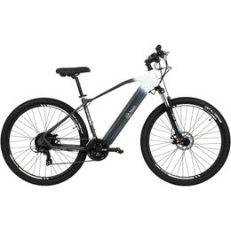 Totem &raquo;EV-S&laquo; 21 Gang Shimano Tourney Schaltwerk Kettenschaltung Heckmotor 250 W Pedelec, Elektrofahrrad f&uuml;r Damen u. Herren, MTB...