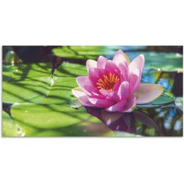 Artland Wandbild »Seerose Nahaufnahme« Blumenbilder 1 Stk. tlg. als Alubild, Outdoorbild, Leinwandbild, Wandaufkleber, versch. Größen Farbe...