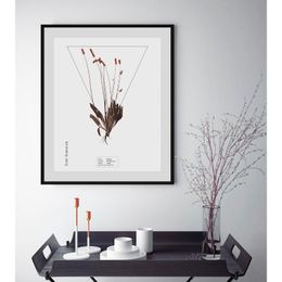 queence Bild »Plantaginaceae« Pflanzen Pflanzenbilder Schriftzug 1 Stk. tlg. HD Premium Poster-Druck inkl. Holzrahmen Farbe Rahmen: schwarz +...