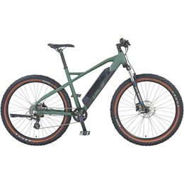 Prophete Unisex &raquo;DICE 1.0&laquo; 8 Gang Shimano Altus Schaltwerk Kettenschaltung Heckmotor 250 W Pedelec, Elektrofahrrad f&uuml;r Damen u. Herren, MTB gr&uuml;n