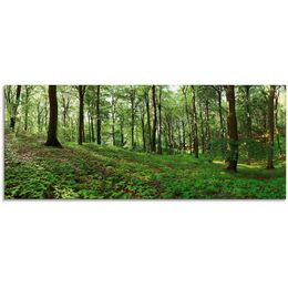 Artland Glasbild »Panorama von einem grünen Sommerwald« Wald 1 Stk. tlg. in verschiedenen Größen Farbe Bild(er): grün