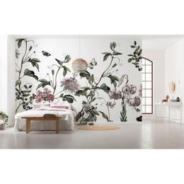 Komar Fototapete »Digitaldruck Vlies - Paradis de Papillons - Größe 400 x 250 cm« bedruckt glatt Wohnzimmer, Schlafzimmer Weiß,Grün