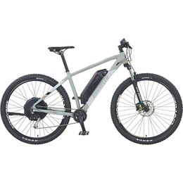 Prophete &raquo;Graveler 22.EMM.20&laquo; 9 Gang Shimano Alivio Schaltwerk Kettenschaltung Heckmotor 250 W Pedelec, Elektrofahrrad f&uuml;r Damen u. Herren, MTB...