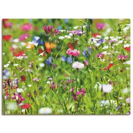 Artland Wandbild &raquo;Blumenwiese I&laquo; Blumenwiese 1 Stk. tlg. als Leinwandbild, Poster in verschied. Gr&ouml;&szlig;en gr&uuml;n Leinwand