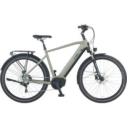 Prophete &raquo;Entdecker 4.0&laquo; 10 Gang microSHIFT RD-M61S Schaltwerk Kettenschaltung Mittelmotor 250 W Pedelec, Elektrofahrrad f&uuml;r Herren moosgrau...
