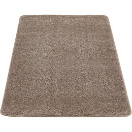 ANDIAMO Teppich &raquo;Parla&laquo; rechteckig 13 mm H&ouml;he Kurzflor, weicher Velours, ideal im Wohnzimmer & Schlafzimmer taupe Obermaterial: 100% Polypropylen B...
