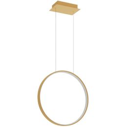 SOLLUX LIGHTING H&auml;ngeleuchte &raquo;RIO&laquo; LED-Modul 1 Stk. Neutralwei&szlig; Slush -Einstellung Golden
